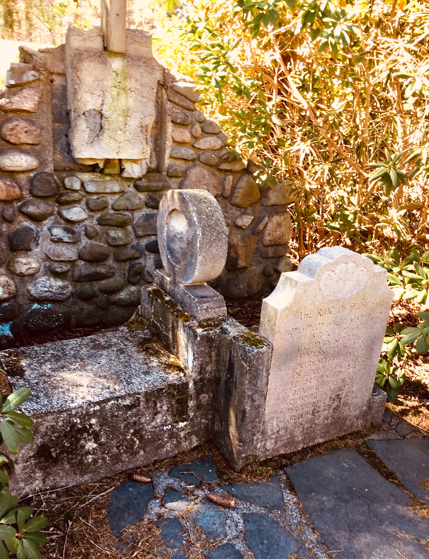 Pocono Environmental Education Center | The Ring of Aldyth - Pocono ...